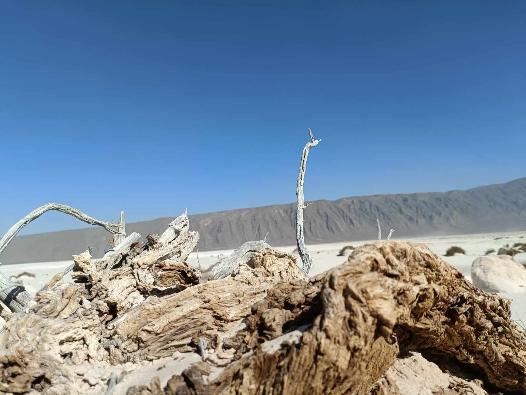 Descubre las infinitas dunas de yeso en Coahuila - LGBTravel