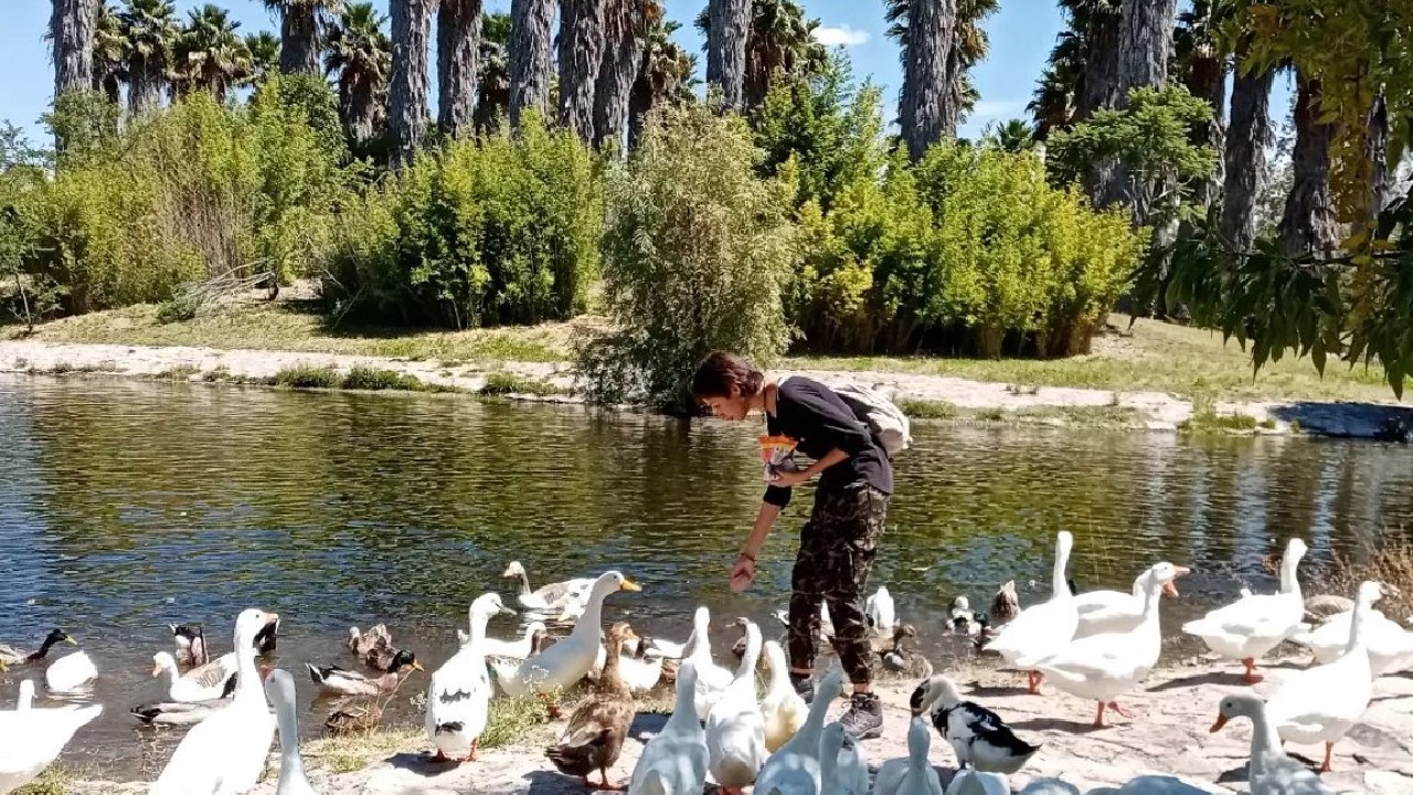 Explora el parque Rodolfo Landeros, pulmón de Aguascalientes - LGBTravel